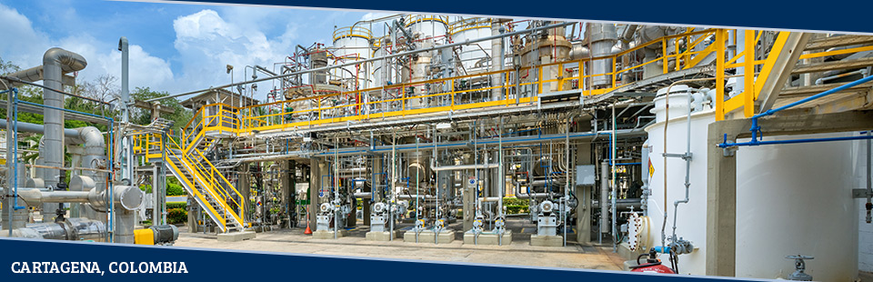 AmSty - Cartagena, Colombia